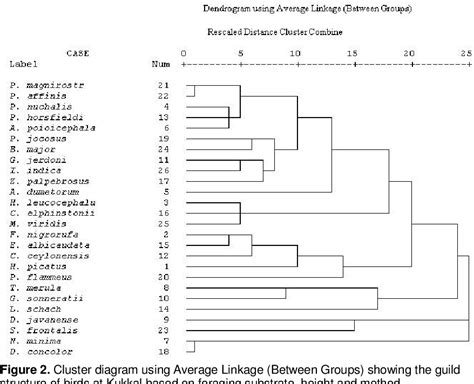 Figure 1 From Foraging Behaviour And Guild Structure Of Birds In The