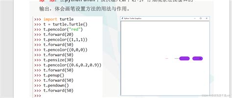python入门第二节turtle库 turtle库python csdn博客