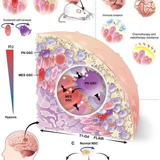 Illustration Highlighting The Core Features Of Gscspatial Distribution