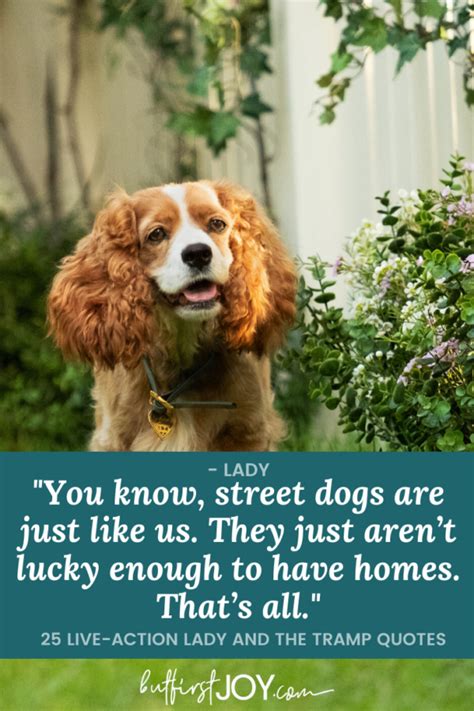 Lady And The Tramp Love Quotes