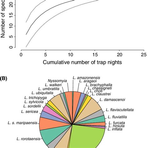 Schematization Of The Metabarcoding Experiment Workflow Download