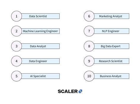 Data Science Roles A Comprehensive Guide [2024]