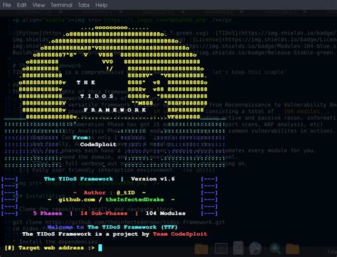 tidos framework the offensive web application penetration testing