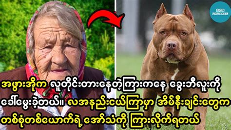 အဖွားအိုက လူတိုင်းတားနေတဲ့ကြားကနေ ခွေးဘီလူးကိုခေါ်မွေးခဲ့တယ်။ လအနည်းငယ