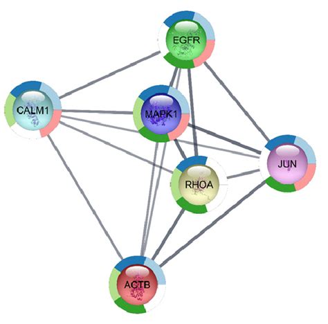 The Functional Enrichment Analysis Of The Six Significantly