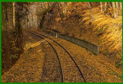 Quantum Computing For Predictive Scanning And Real Time Data Processing