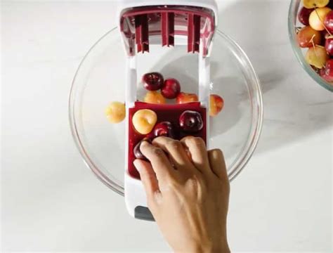 Oxo Good Grips Multi Cherry And Olive Pitter Williams Sonoma