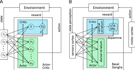 The Structure Of The Actor Critic Algorithm For Decision Making A Download Scientific