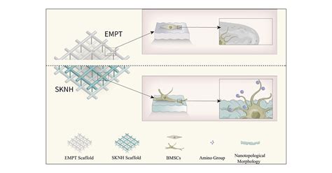Promoted Bone Regeneration By 3d Printed Porous Scaffolds With The Synergy Of A Nanotopological
