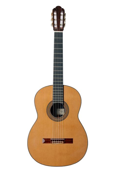 Andrew Doriean 2016 Traditional Bracing — Au