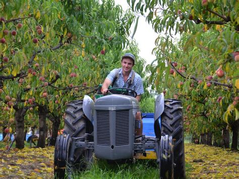 The Ultimate Guide To Fruit Picking In Sydney Inner West Mums