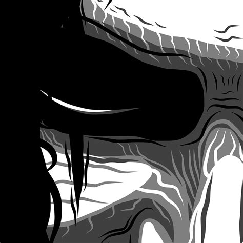 The Crow Illustrator Draw Illustration On Behance