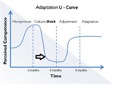 The U Curve Mba Operazione Operations Management Club Of Doms