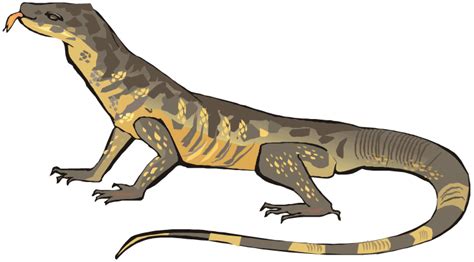 Komodo Dragon Clipart Free Download On Clipartmag