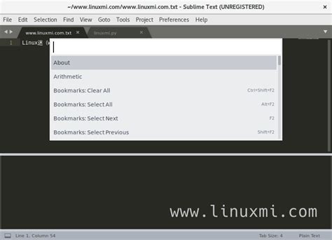Centos 81下sublime Text 3设置中文与python环境 Linux迷