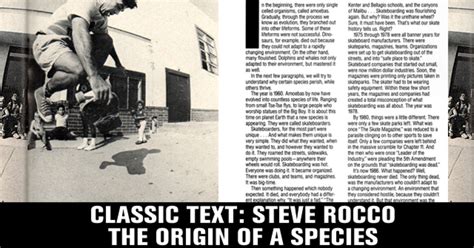 Classsic Text Steve Rocco The Origin Of A Species 1986 Skateboarding