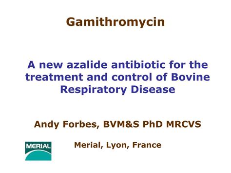 Ppt Gamithromycin Powerpoint Presentation Free Download Id3263754 Ppt Gamithromycin Powerpoint Presentation Free Download Id3263754