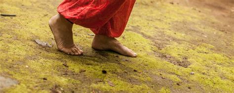 Te Moata A Sanctuary For People A Sanctuary For Nature