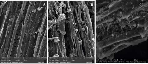 Sem Micrograph Of A Biochar Before Adsorption B Biochar After H 2