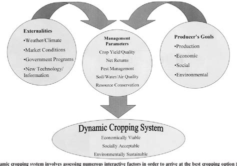 Figure 1 From Dynamic Cropping Systems Semantic Scholar