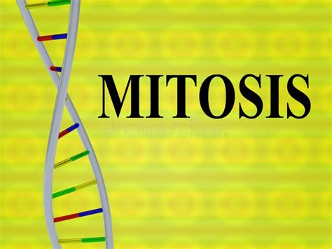 Mitosis Script Stock Illustrations 9 Mitosis Script Stock