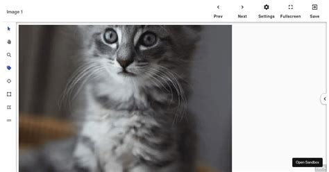 React Image Annotate Example Codesandbox