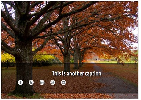 Pure CSS Captions By Luca Link CodeCanyon