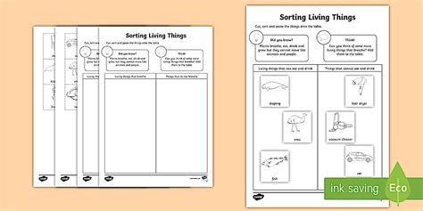 Sorting Living Things Worksheet Twinkl
