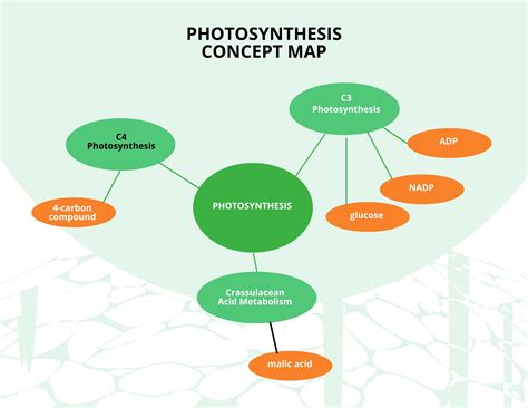 Free Concept Map Template In Draw Io To Download Template Net