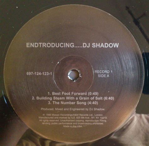 Endtroducing Vinyl