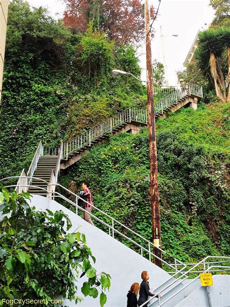 Climb The Quirky Filbert Steps A Locals Guide