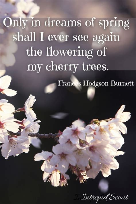 165 Beautiful Cherry Blossom Quotes And Captions For Instagram Artofit