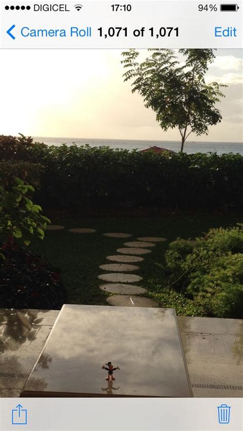 Sally Chadwick Sallychadwick Twitter