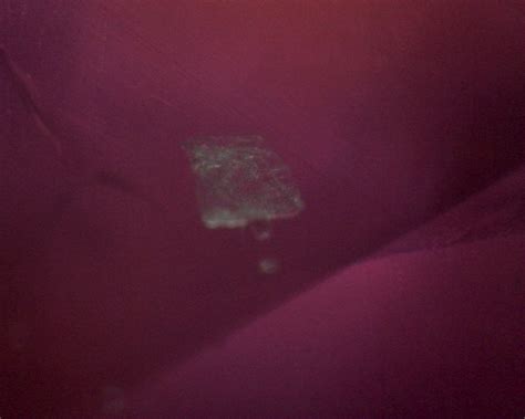 Ruby Inclusions Gem Related Discussion Igs Forums