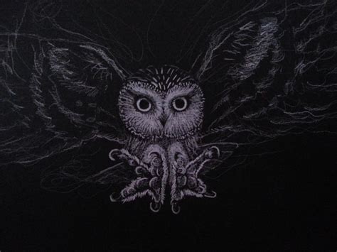 Kaitlin Murphy Photo