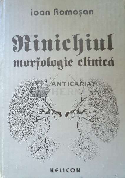 Rinichiul Morfologie Clinica