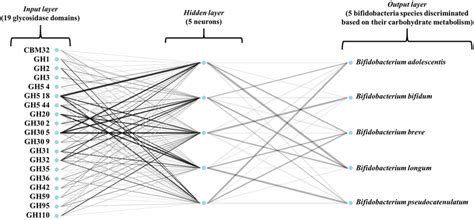 Artificial Neural Network Ann Architecture Computed To Classify Download Scientific Diagram