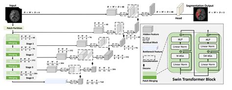 Github Larsleijtenswinclassifier Application Of A Swin Encoder On