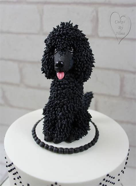 Poodle Cake By Nina Animal Cake Design White Poodle Cake Design