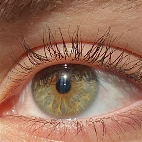 Blonde Green Eyes Hazel Green Eyes Hazel Eyes Beautiful Eyes Color