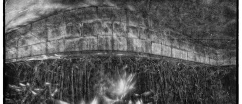 Sampler An Exhibition Of Photographs By Rita Dibert Whangarei Eventfinda