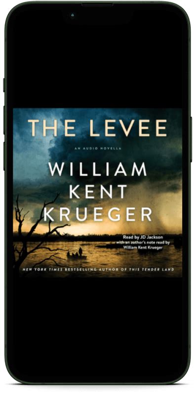 The Levee Book Summary And Review