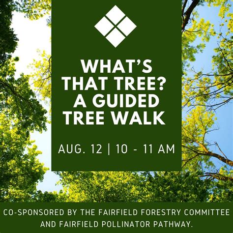 aug 12 what s that tree a guided tree walk fairfield ct patch