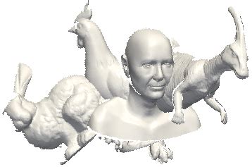 Compilation Of 3d Mesh Models Curiosity
