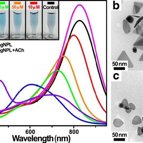 A The Uv Vis Spectra Of Silver Nanoplates Agnpls Incubated With The