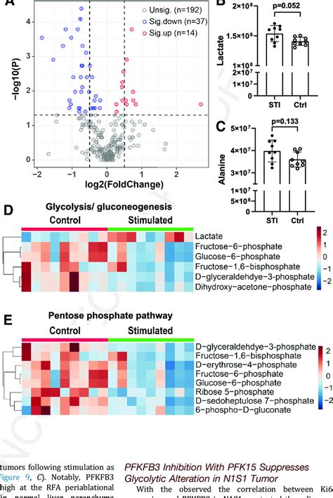 Quantitative Metabolome Profiling Of Post Stimulated N1s1 Tumors A A