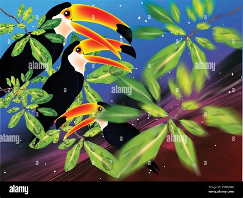 Toucan Vector Vectors Stock Vector Images Alamy