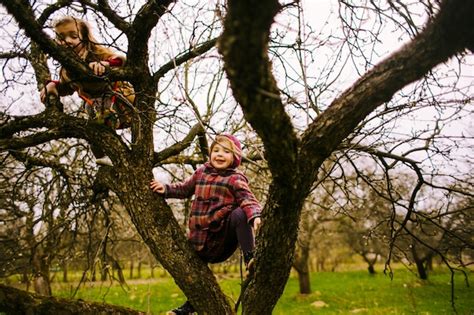 La Petite Fille Assise Sur L Arbre Photo Gratuite