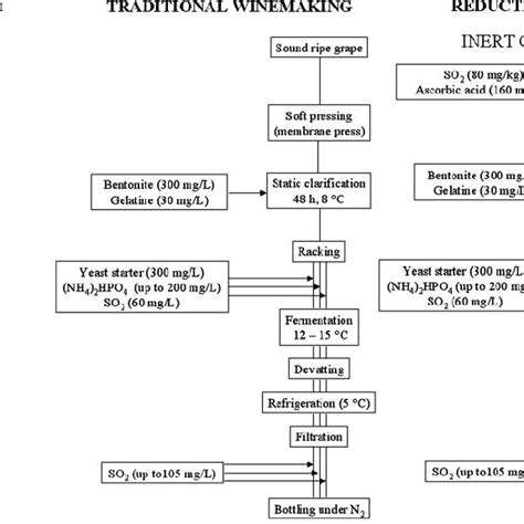 Pdf Comparison Of Traditional And Reductive Winemaking Influence On