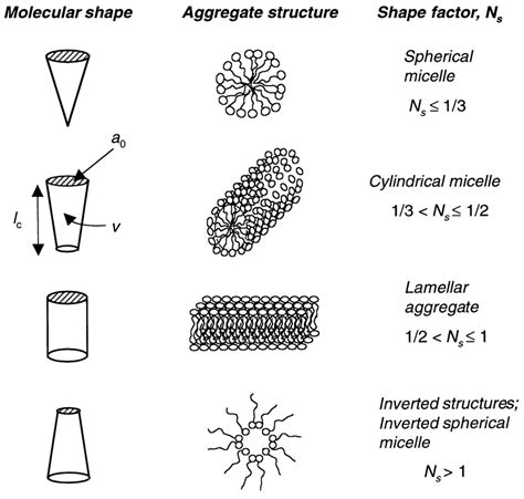 1 Predicted Aggregate Structure As A Function Of The Shape Factor Download Scientific Diagram